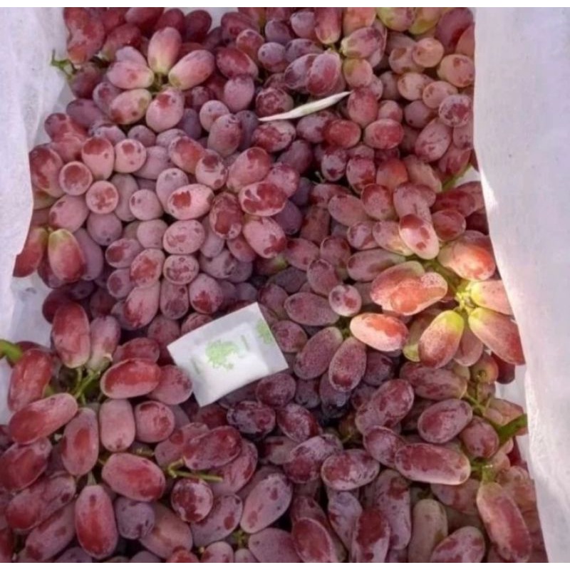 Jual Buah anggur merah globe manis 1 kg | Shopee Indonesia