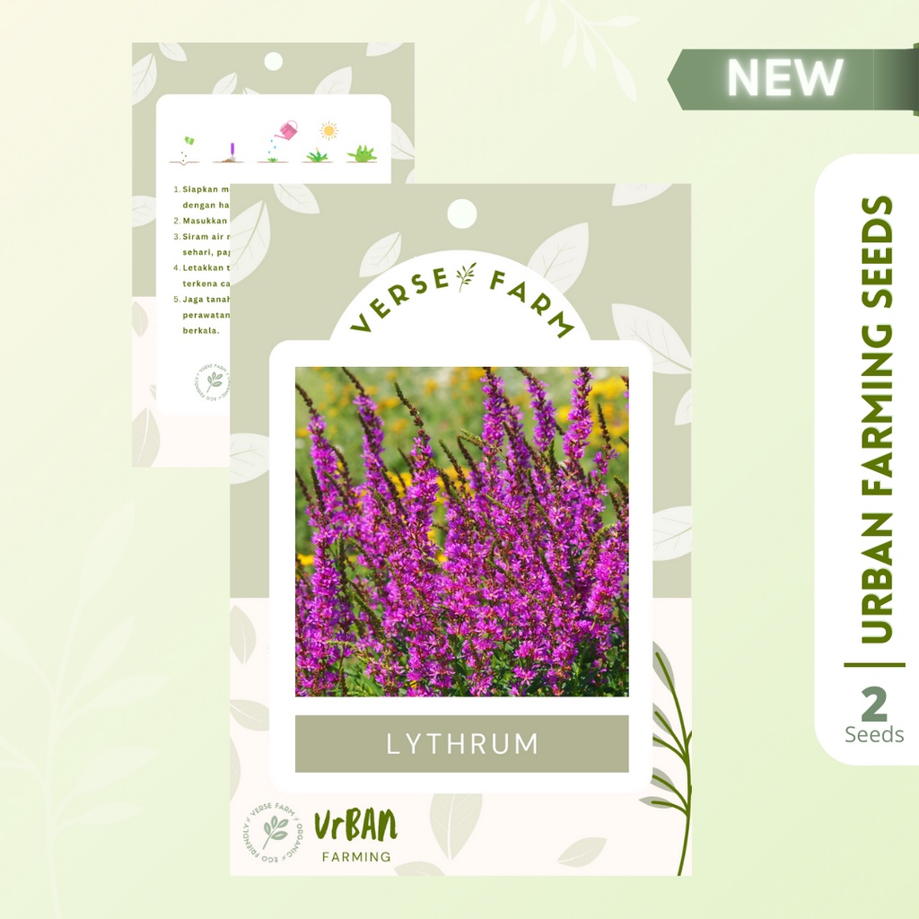 Jual VERSE FARM - Urban Farming Seeds Lythrum Original Pack | Shopee ...