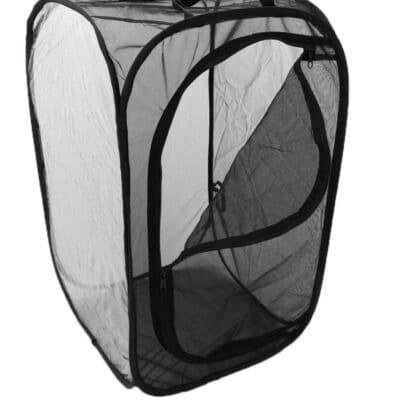 Jual Foldable Breeding Insect Cage | Terrarium | Vivarium | Kandang ...