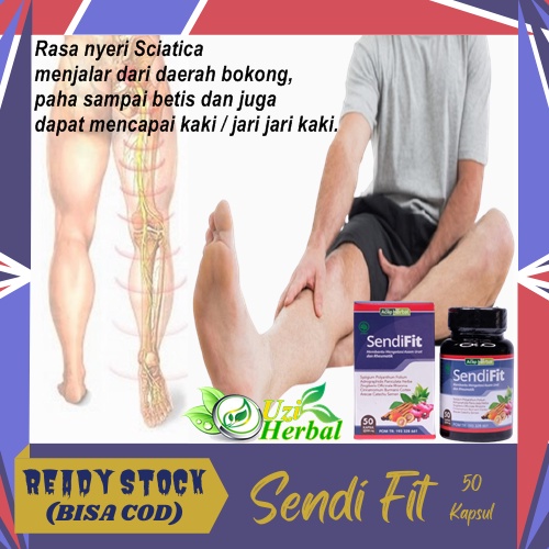 Jual Obat Sciatica, Skiatika, Nyeri Otot Paha, Sakit Betis, Otot Ketarik, Keram, Otot Kaku ...