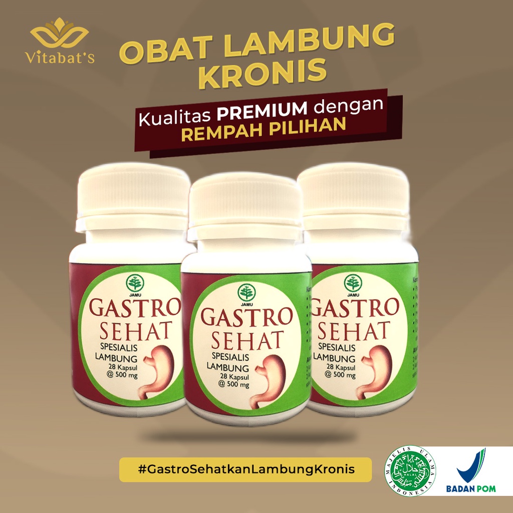 Jual GASTRO SEHAT Obat Lambung Kronis Paling Ampuh GERD Herbal Maag ...