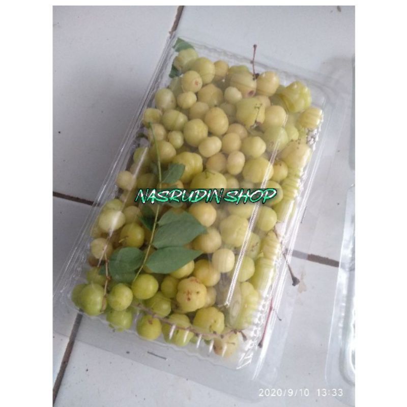Jual BUAH CEREMAI SEGAR 1KG / CEREMAI / CREMAI / CAREMAI / CAREME ...