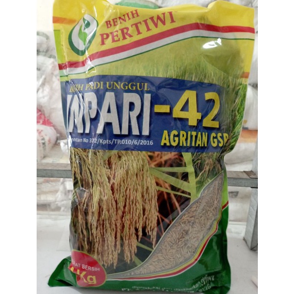 Jual benih padi inpari 42 pertiwi 5kg | Shopee Indonesia