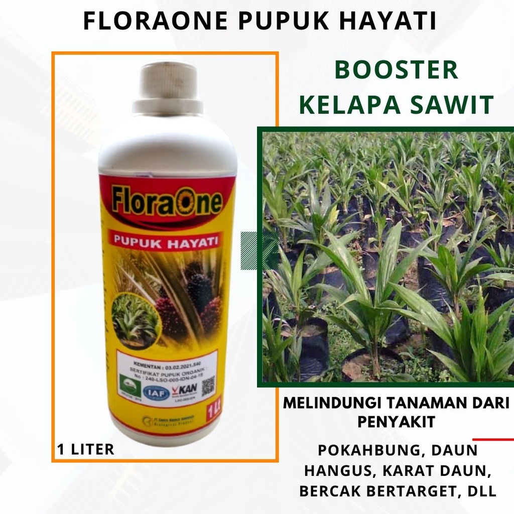 Jual Pupuk Hayati Cair FloraOne SAWIT, Pupuk Booster Sawit Penyubur ...