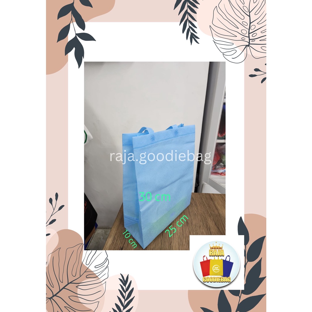 Jual Tas goodie bag box 25X35X10 spoundbond hbpa tebal | Shopee Indonesia