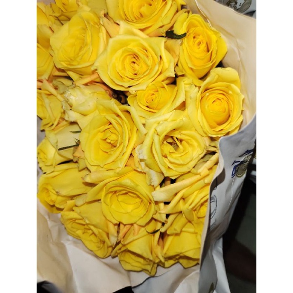 Jual Bunga Mawar Asli Bunga Mawar Tangkai Mawar Asli Buket Wisuda Asli