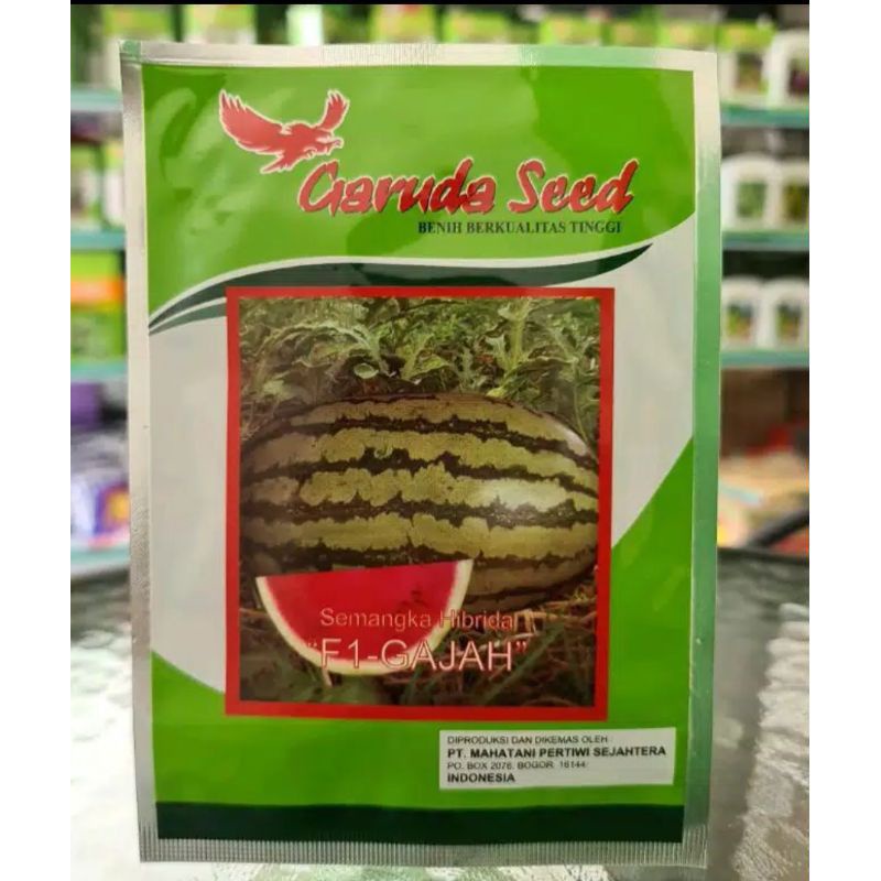 Jual benih semangka gajah super isi 10 gram merk garuda seed | Shopee ...