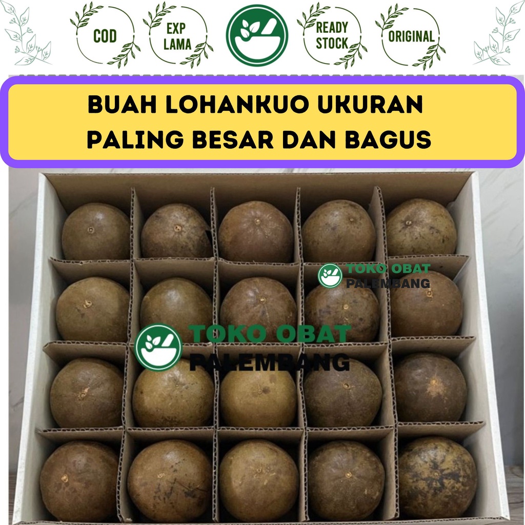 Jual LOHANKUO BUAH BESAR 1 BUAH LO HAN KUO LOHANGUO LO HAN GUO 1 BUAH ...
