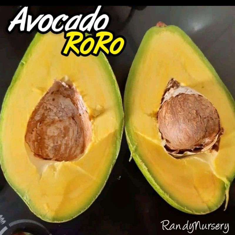 Jual alpukat RoRo | Shopee Indonesia