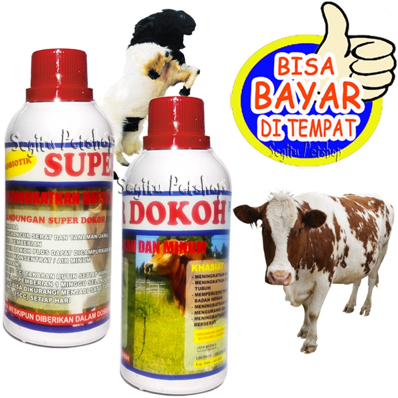 Jual VITAMIN SAPI KAMBING DOMBA NAFSU MAKAN PROBIOTIK SUPER DOKOH PLUS ...