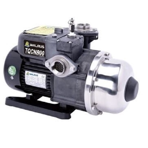 Jual Walrus Pompa Air Panas TQCN 800 | Shopee Indonesia