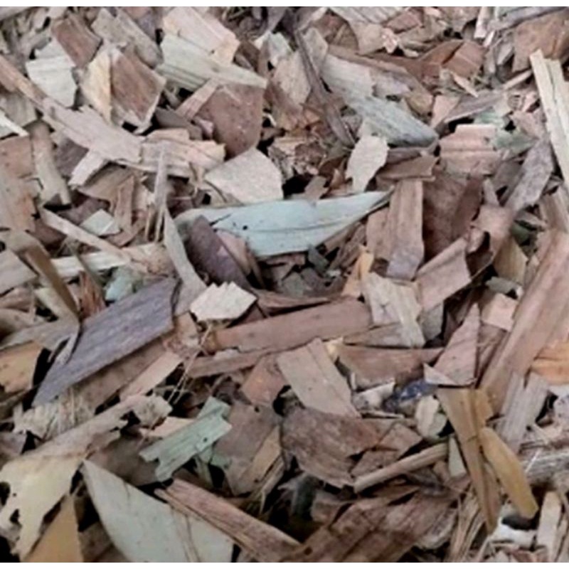 Jual Daun Bambu Kering Cacah permentasi alam 1kg Media Tanam | Shopee ...