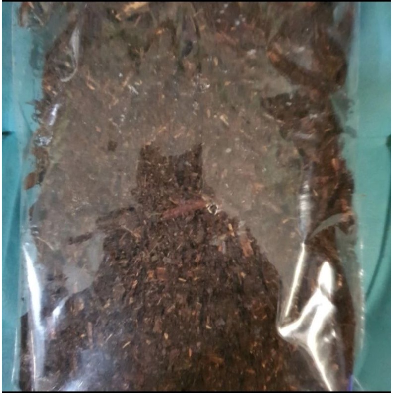Jual Pupuk Humus Andam, Campuran Media Tanam Untuk Semua Jenis Tanaman ...
