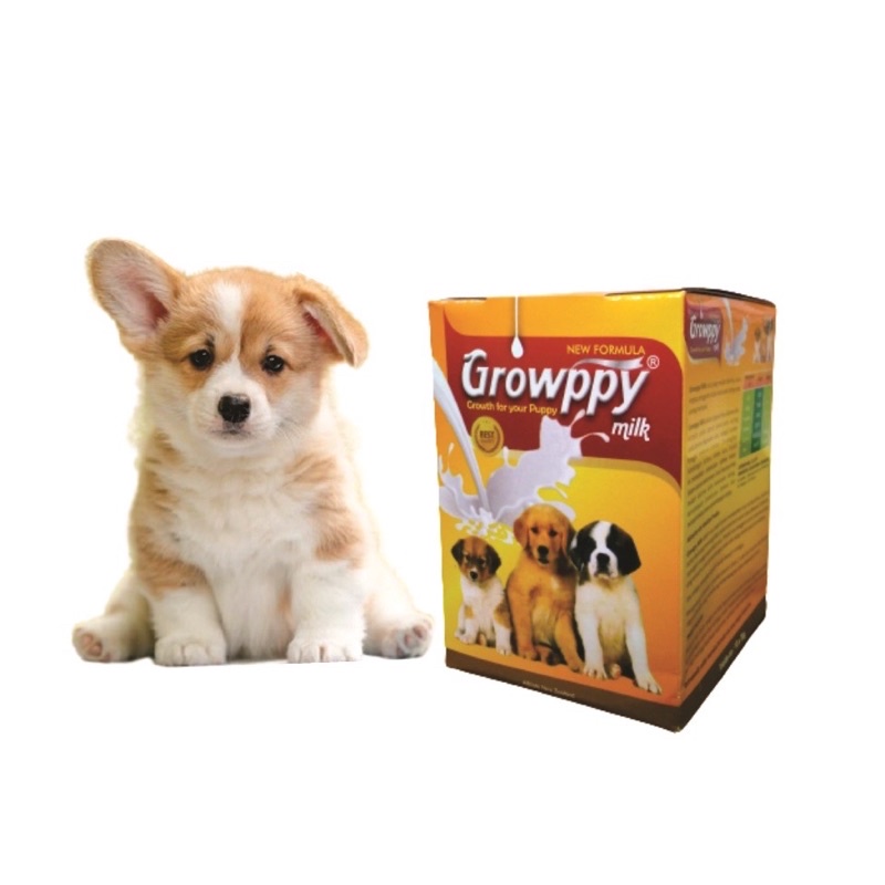 Jual GROWPPY ANJING 1 SACHET - Susu Anak ANJING Baby DOG Milk 30gr puppy 30 gr | Shopee Indonesia