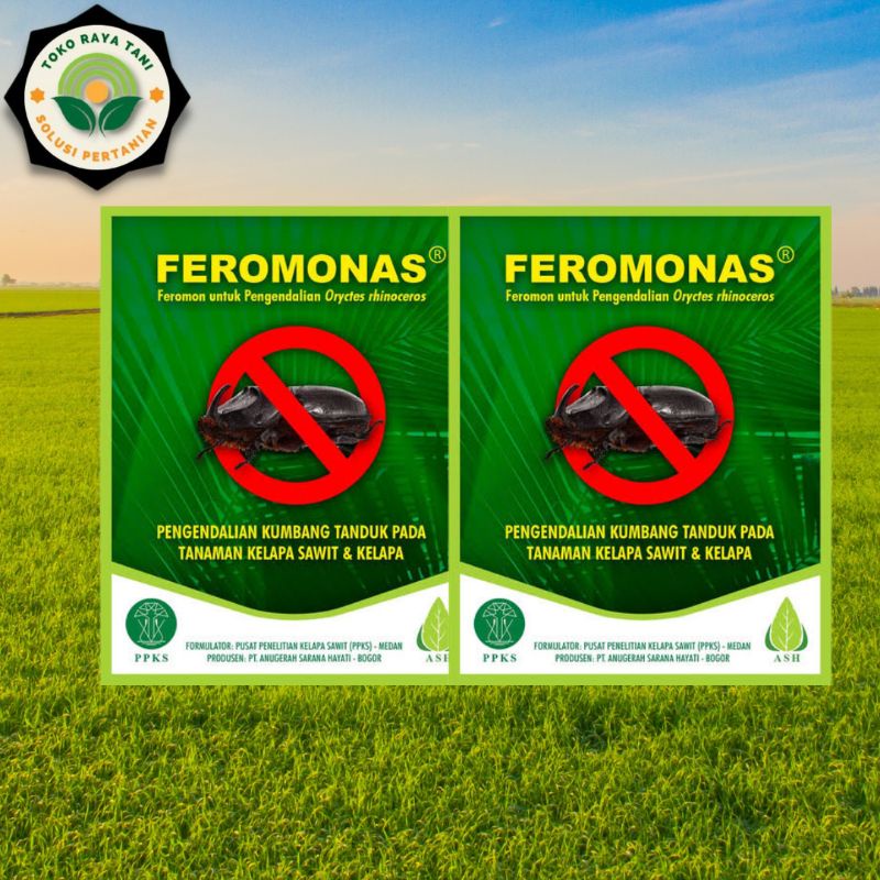 Jual Feromonas pengandali kumbang tanduk feromon untuk kelapa sawit dan ...