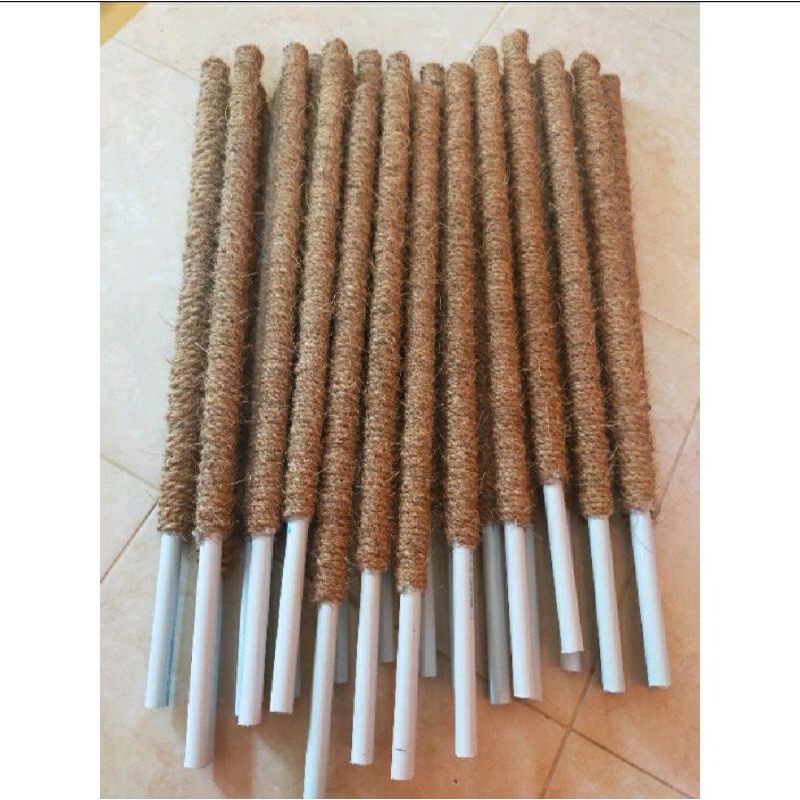 Jual Turus Peyangga Tanaman Rambatan Tanaman 1 Meter | Shopee Indonesia