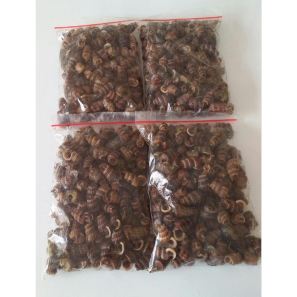 Jual Kol Nenek | Shopee Indonesia