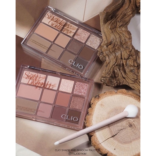 Jual Clio Shade & Shadow Pallete SPECIAL SET | Shopee Indonesia