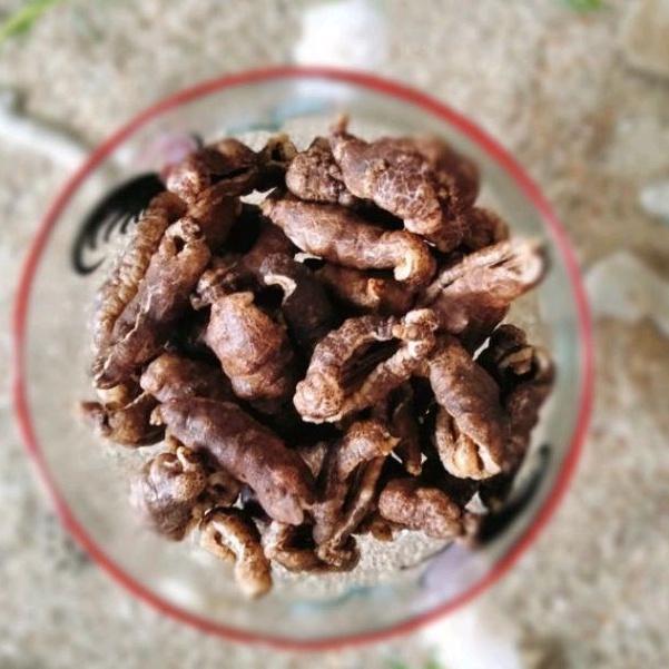 Jual kerupuk teripang asli (timun laut ) | Shopee Indonesia