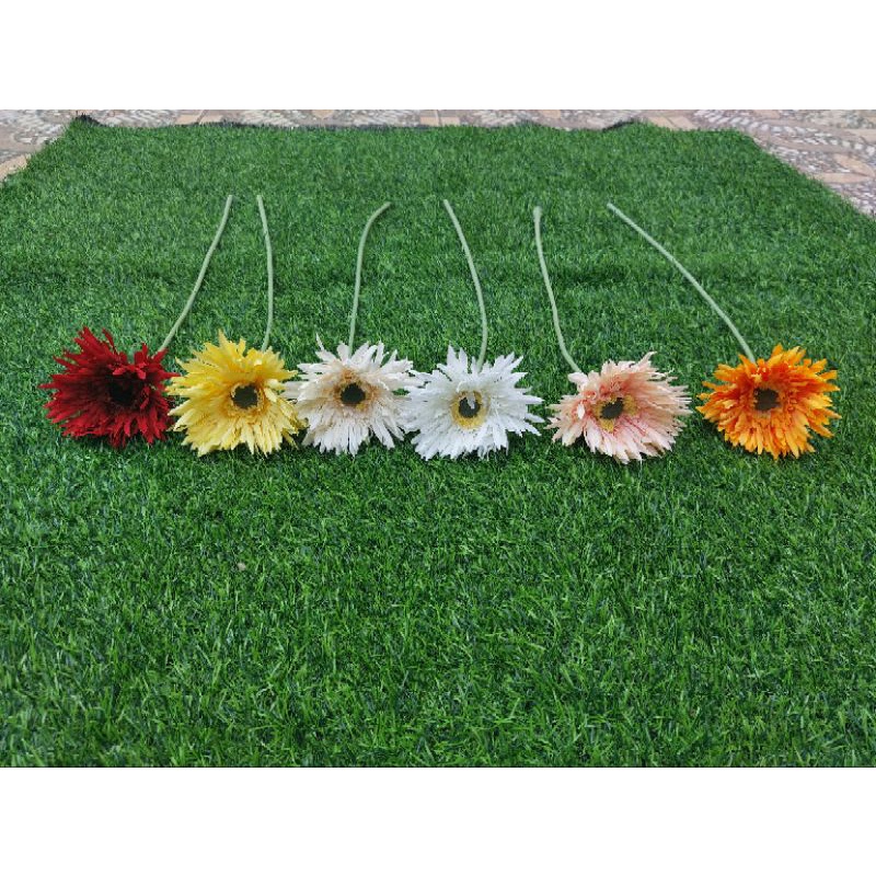 Jual bunga garbera | Shopee Indonesia
