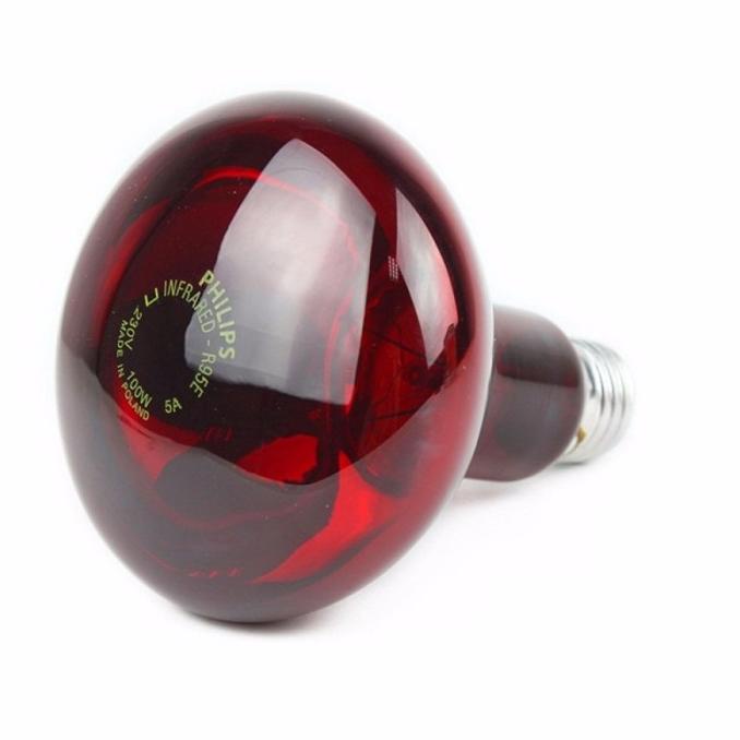 Jual LAMPU TERAPI INFRARED PHILLIPS INFRA RED SINAR INFRAMERAH ...