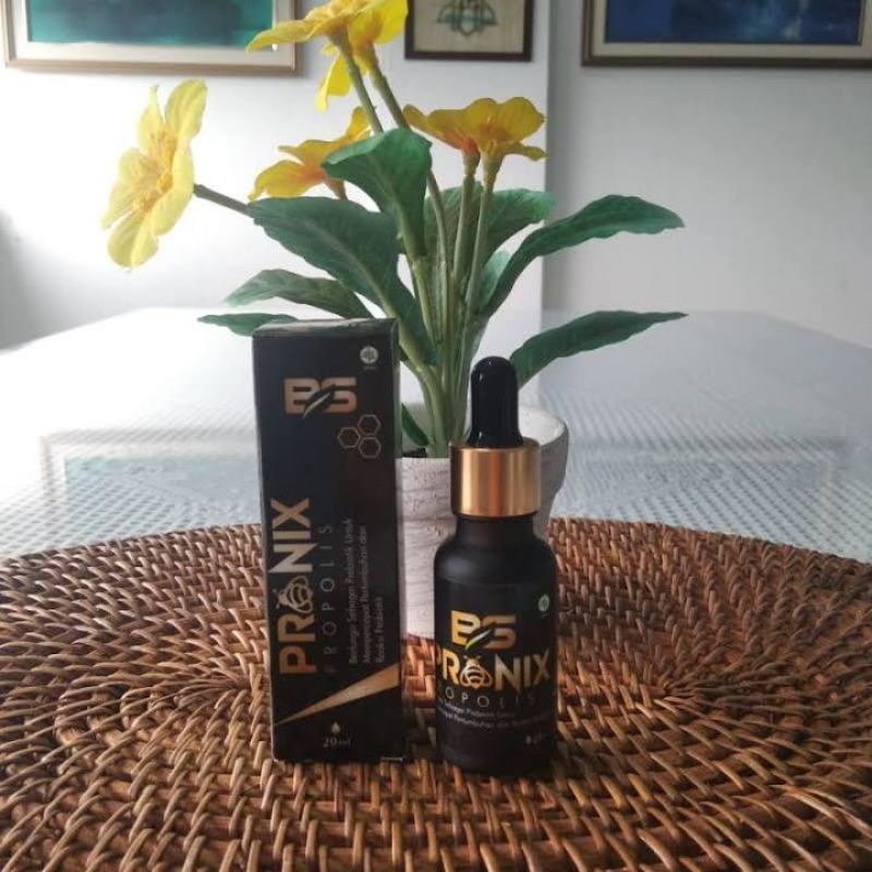 Jual BIOSYAFA PRONIX - BS PROPOLIS PRONIX PROBIOTIK SIKLUS | Shopee ...