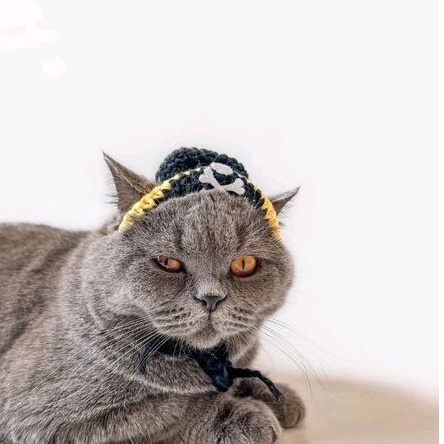 Jual Purrates Crochet Hat (Topi Kucing Crochet Bajak Laut) | Shopee ...