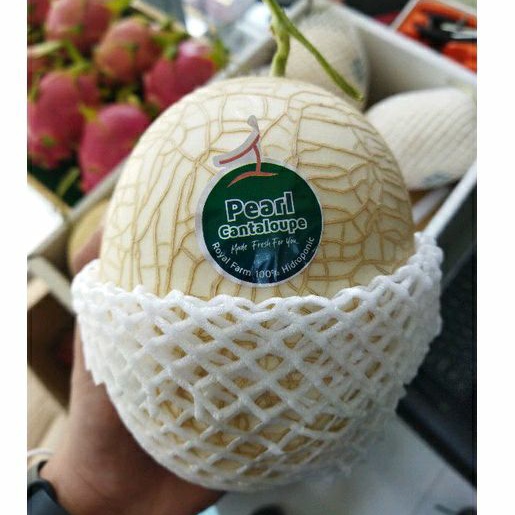 Jual Melon pearl Cantalope manis & Crunchy | pcs | Shopee Indonesia