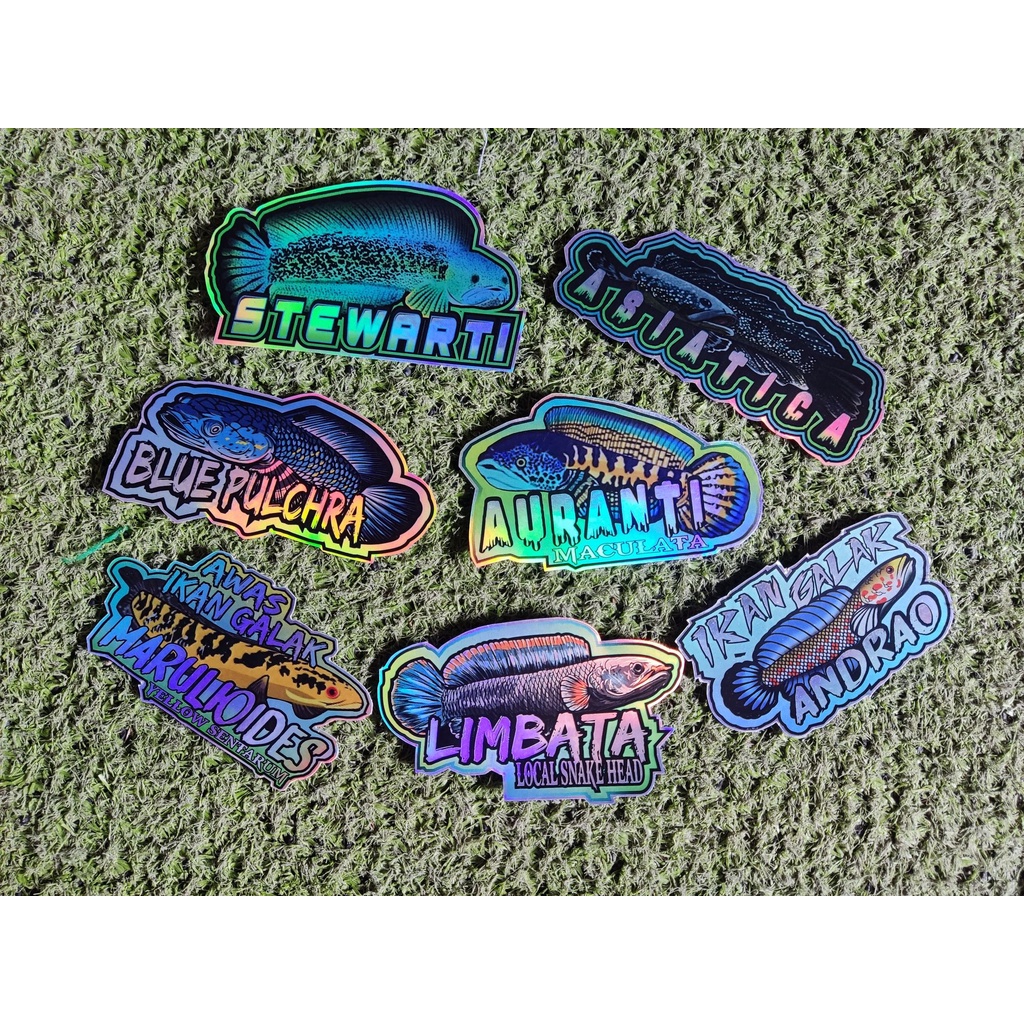 Jual STIKER HOLOGRAM IKAN CHANNA | Shopee Indonesia