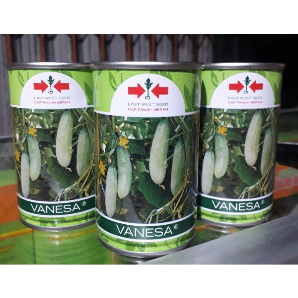 Jual Benih timun Vanesa 50gram kaleng Cap Panah Merah | Shopee Indonesia