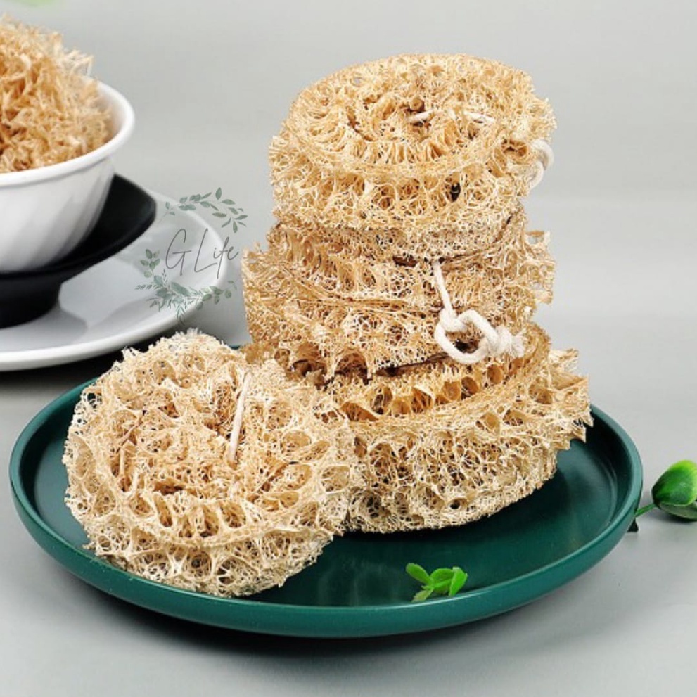 Jual Loofah Spons Cuci Piring, Spons Gambas Natural, Sabut Cuci Piring ...