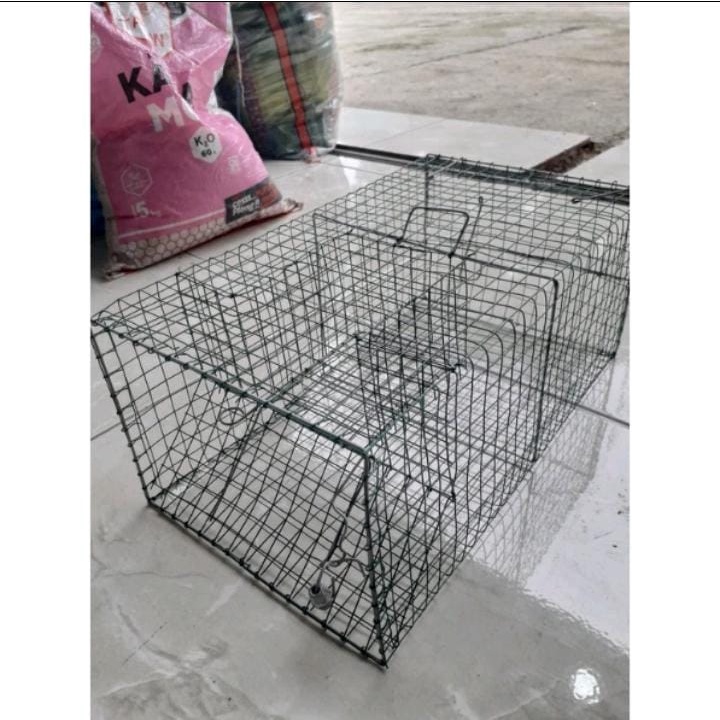 Jual PERANGKAP TIKUS / JEBAKAN TIKUS / PERANGKAP MUSANG | Shopee Indonesia