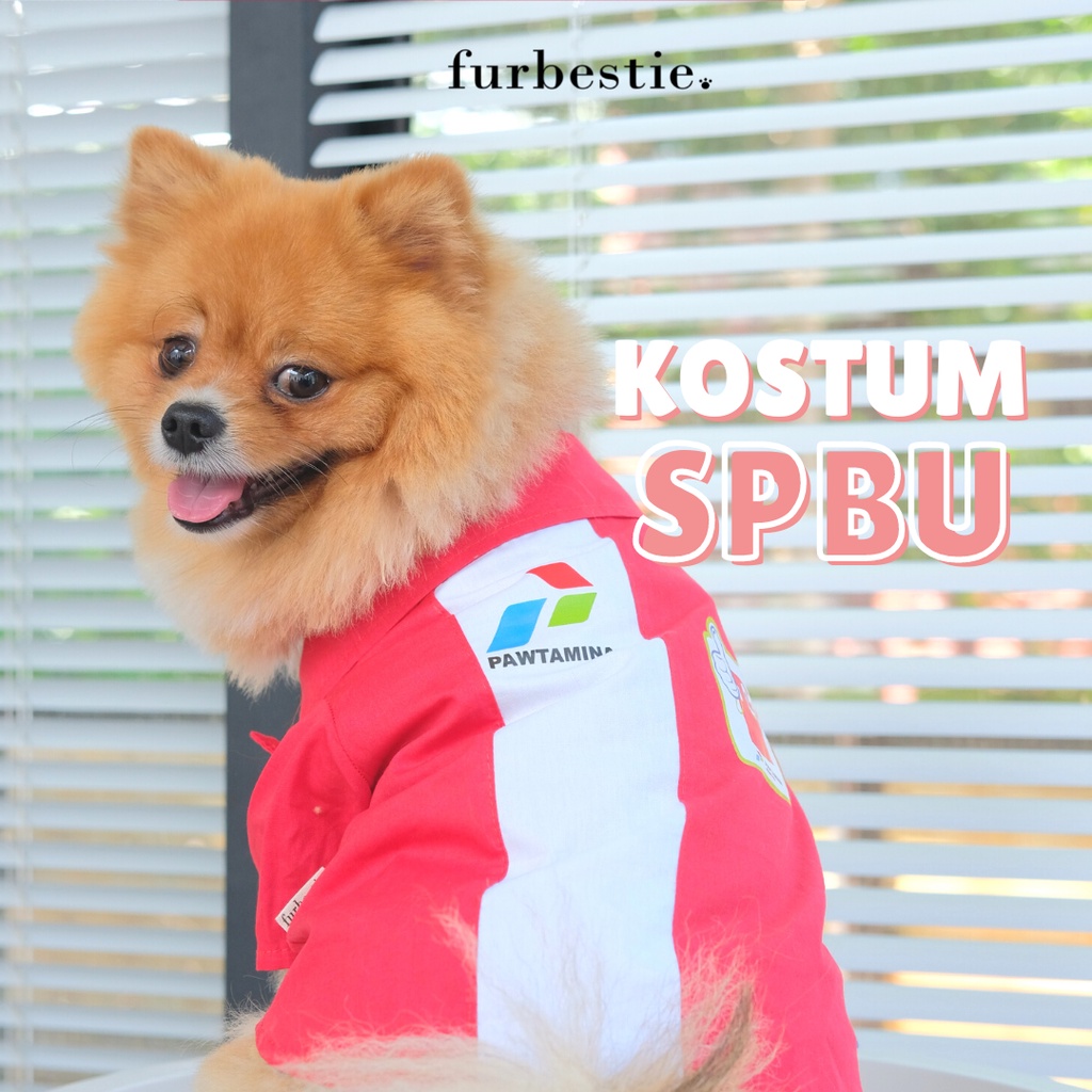Jual Furbestie by Pomapoo - Baju Kucing dan Baju Anjing Kostum SPBU ...
