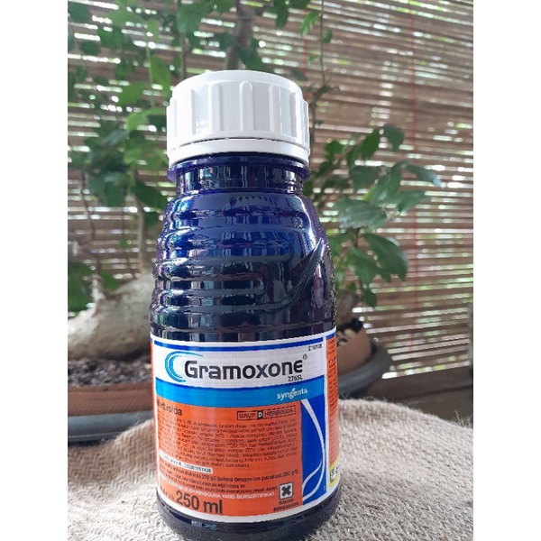 Jual HERBISIDA GRAMOXONE 276SL 250ML | Shopee Indonesia