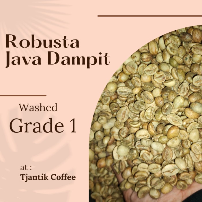 Jual TERMURAH Green Bean Robusta Java Dampit Washed G1 /KOPI RUBE/KOPI ...