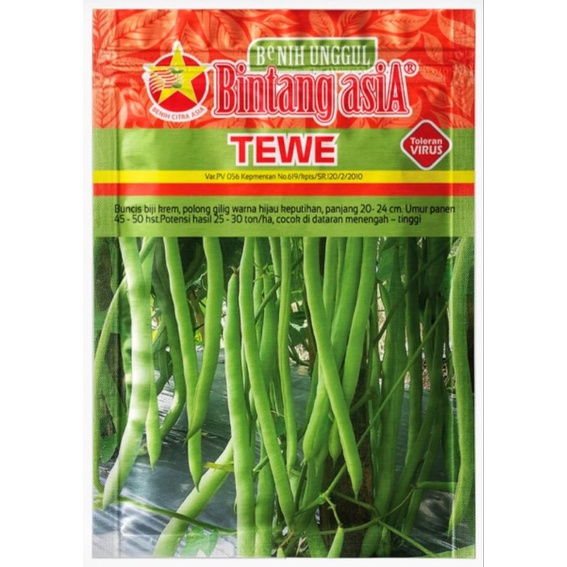Jual TEWE 500 Gram Benih Buncis Bintang Asia Benih Buncis Tewe ( 100 % ...