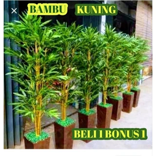 Jual Bambu Kuning Terlengkap & Harga Terbaru Mei 2024 | Shopee Indonesia