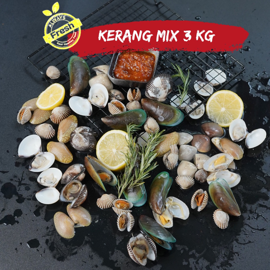 Jual Kerang Mix Campuran 3kg | Shopee Indonesia