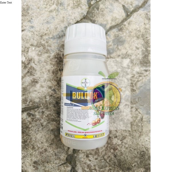 Jual insektisida Buldok 25 EC 250 mili dr bayer A | Shopee Indonesia