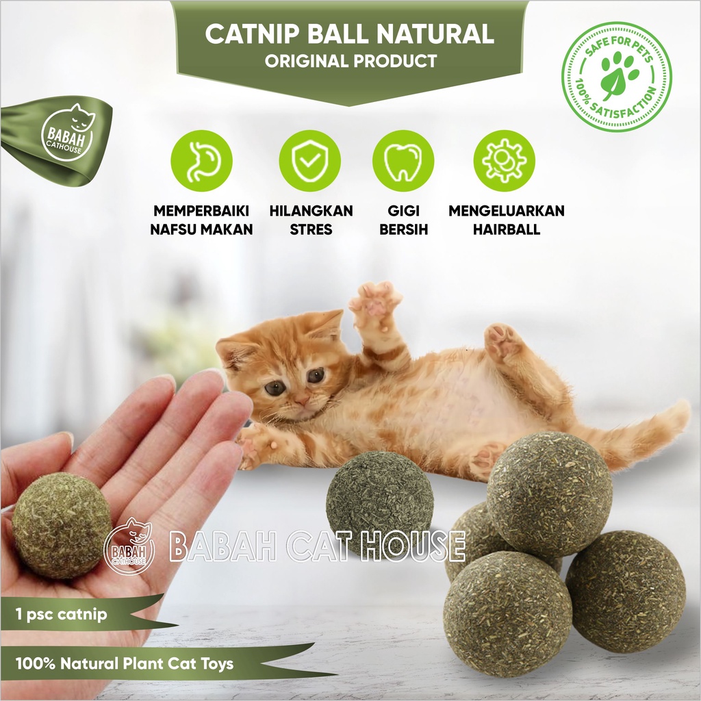 Jual Catnip BALL Bola Kucing Vitamin Cemilan Anti Stres Anak Kitten Catmint Snack Cat nip Mainan ...