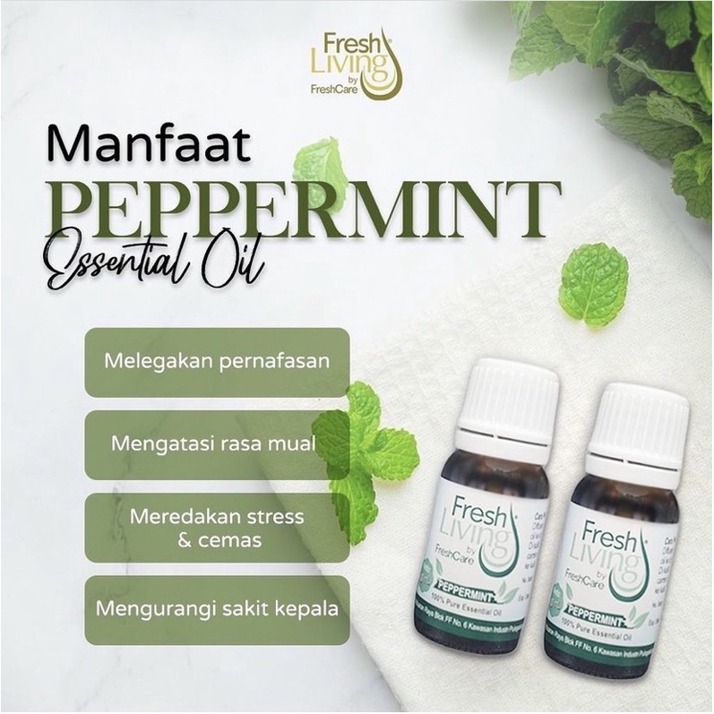 Jual Fresh Living Freshliving by FreshCare Steam Eye Spa Mata | Minyak ...