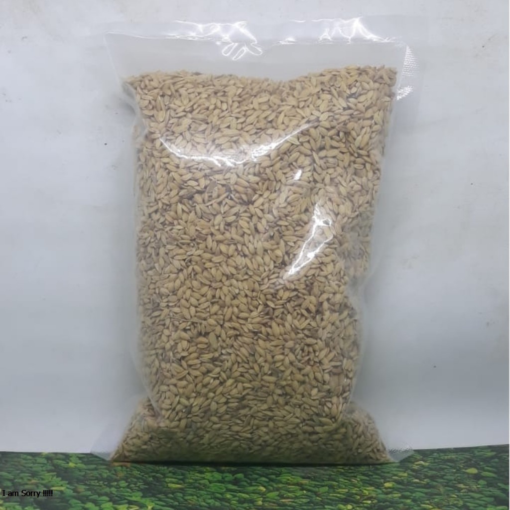 Jual GABAH BANGKOK 1KG PAKAN MAKANAN BURUNG LOVEBIRD PERKUTUT KENARI ...