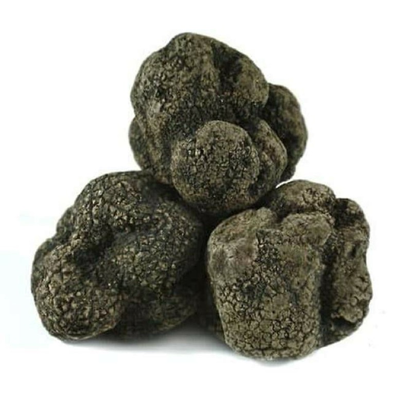 Jual Fresh Italian Whole Black Truffle Jamur Hitam Truffle Italy ...