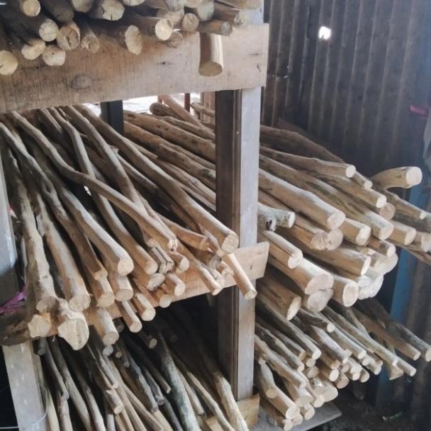 Jual Kayu Kopi Lurus Panjang 1M Diamter 15Cm Untuk Tangkringan Burung ...
