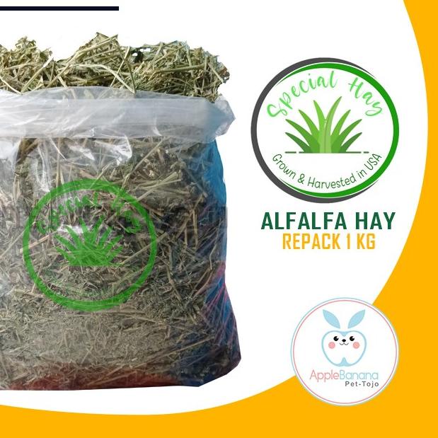 Jual HAY ALFALFA Repack 1 KG by SPECIAL HAY - Rumput Hay Kelinci ...
