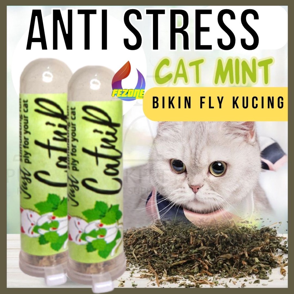 Jual CATNIP BUBUK BOTOL Snack Kucing Makanan Serbuk Daun Cat Mint ...