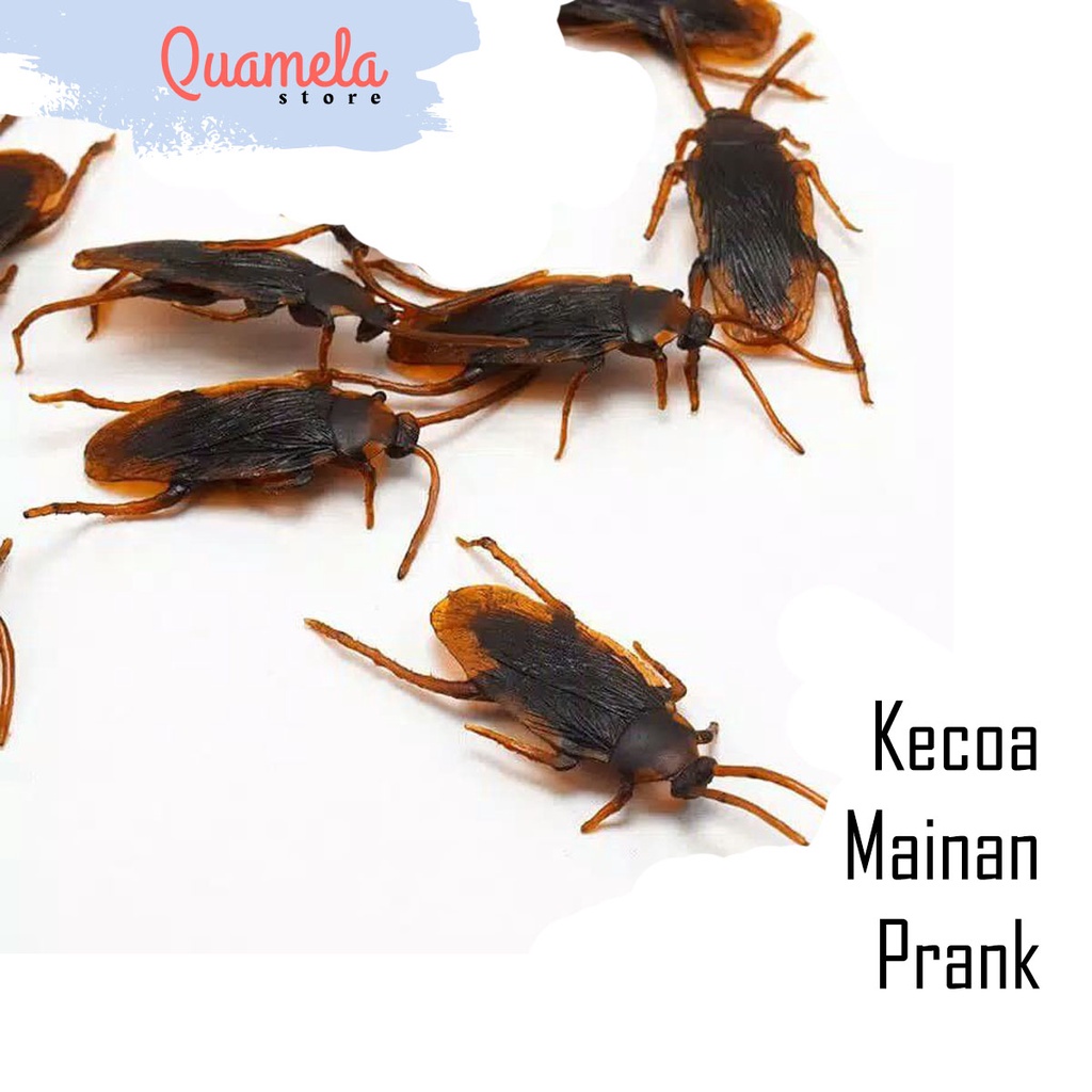 Jual Mainan keluarga seru prank kecoa kecoak serangga palsu karet lucu ...