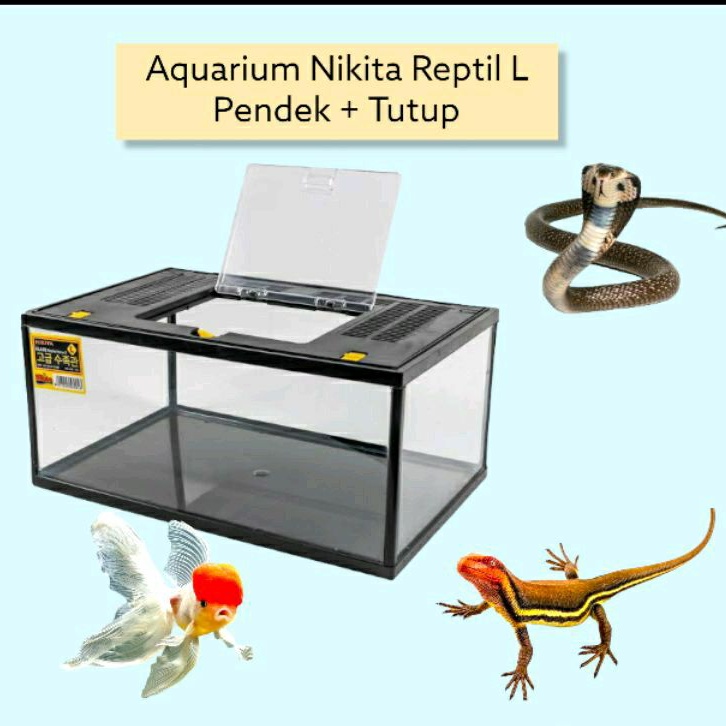 Jual AQUARIUM NIKITA REPTIL SIZE L PENDEK + TUTUP AQUARIUM IKAN NIKITA STAR | Shopee Indonesia