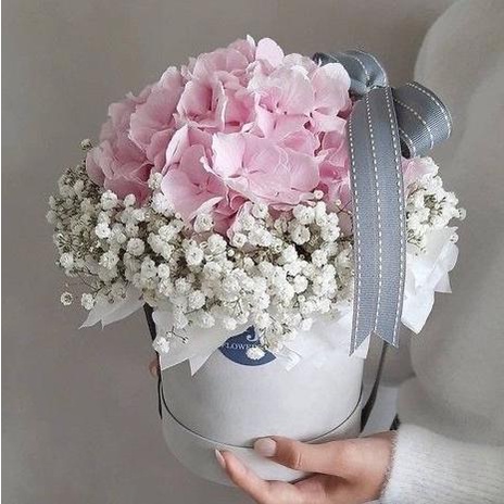 Jual HYDRANGEA BABYBREATH BLOOMBOX BOUQUET BUCKET BUKET BUNGA SEGAR ...