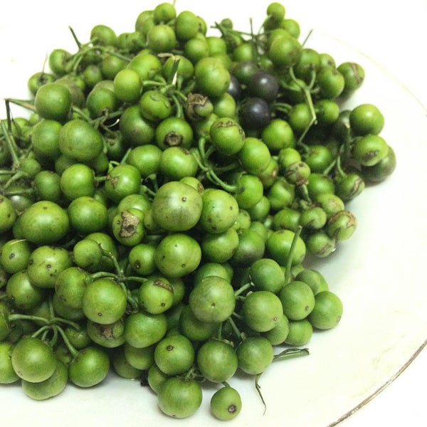 Jual FCW - Sayur Lenca Segar 100 Gram | Shopee Indonesia